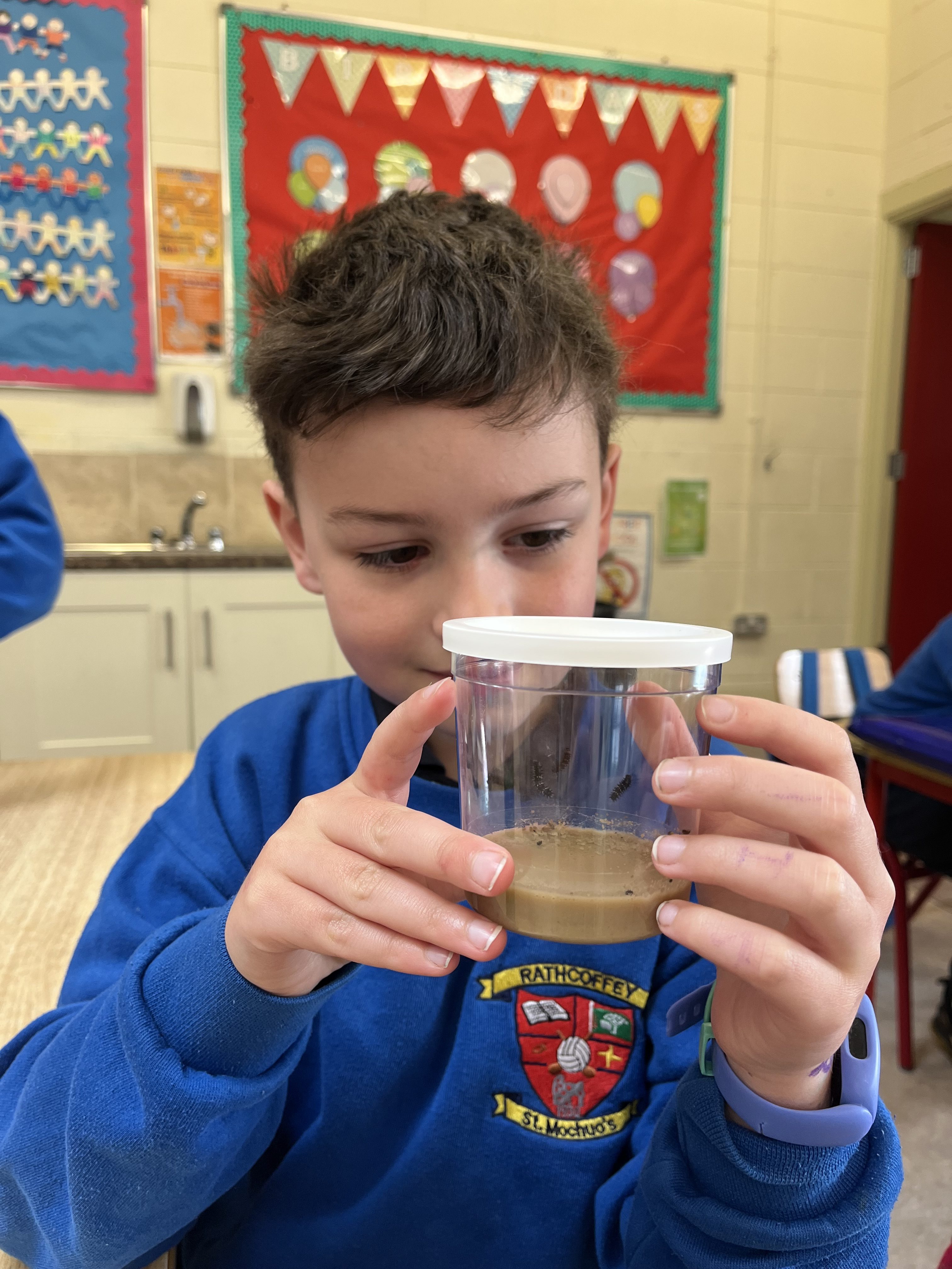 IMG-0690 – Rathcoffey National School